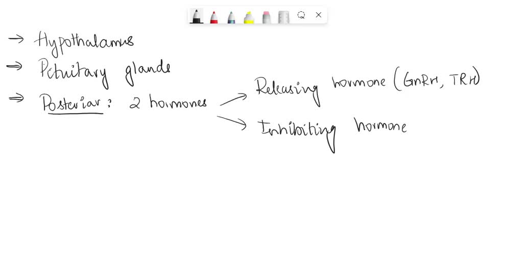 SOLVED: why does the hypothalamus need to use both the anterior and ... SOLVED: why does the hypothalamus need to use both the anterior and ...