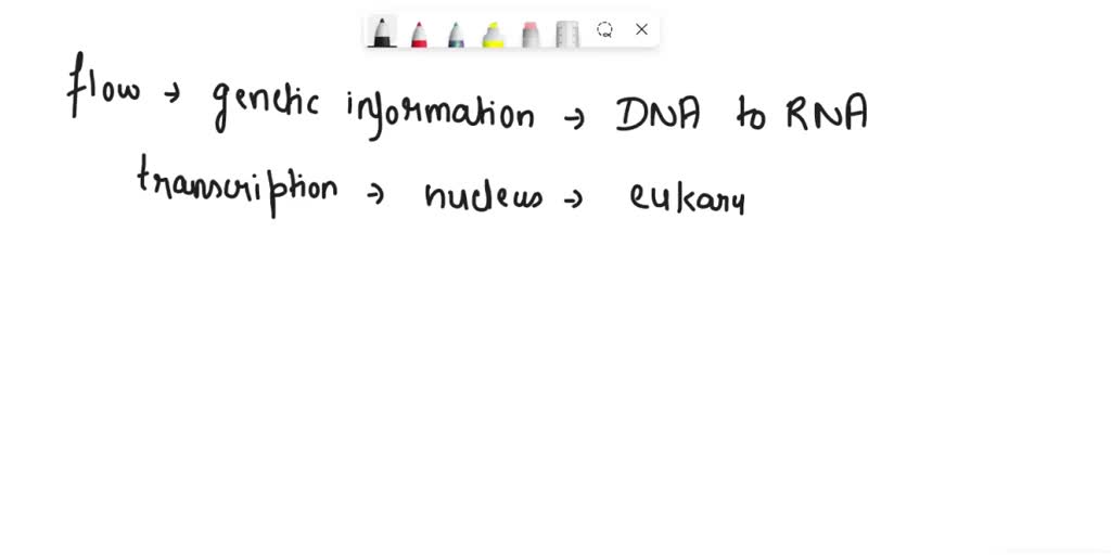 SOLVED: TRANSCRIPTION AND TRANSLATION Molecular Biology states that ...