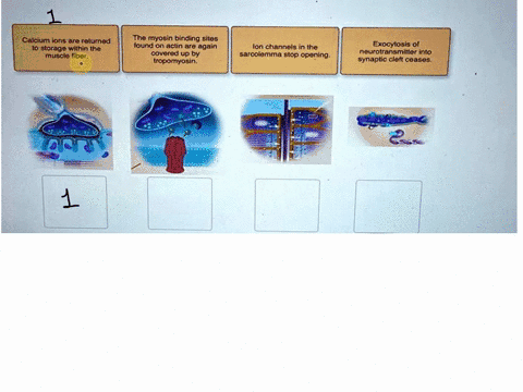 Drag each tile to the appropriate bin to indicate whether it shows the ...