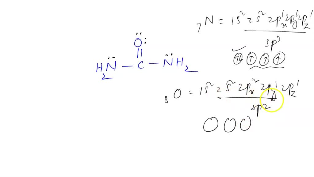 SOLVED: Consider the structure of urea given below. HNâ‚‚ NHâ‚‚ To complete the Lewis structure ...