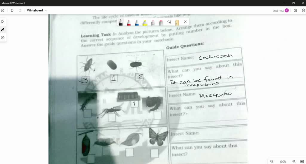 SOLVED: Learning Task 1: Analyze the pictures below. Arrange them according to the correct ...