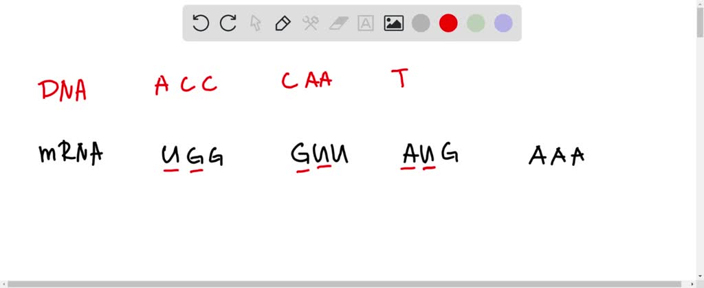 SOLVED: Complete the figure below by adding the bases in the anticodons ...