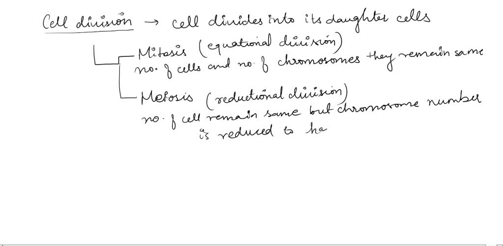 SOLVED: A cell with 10 chromosomes undergoes mitosis. How many daughter ...