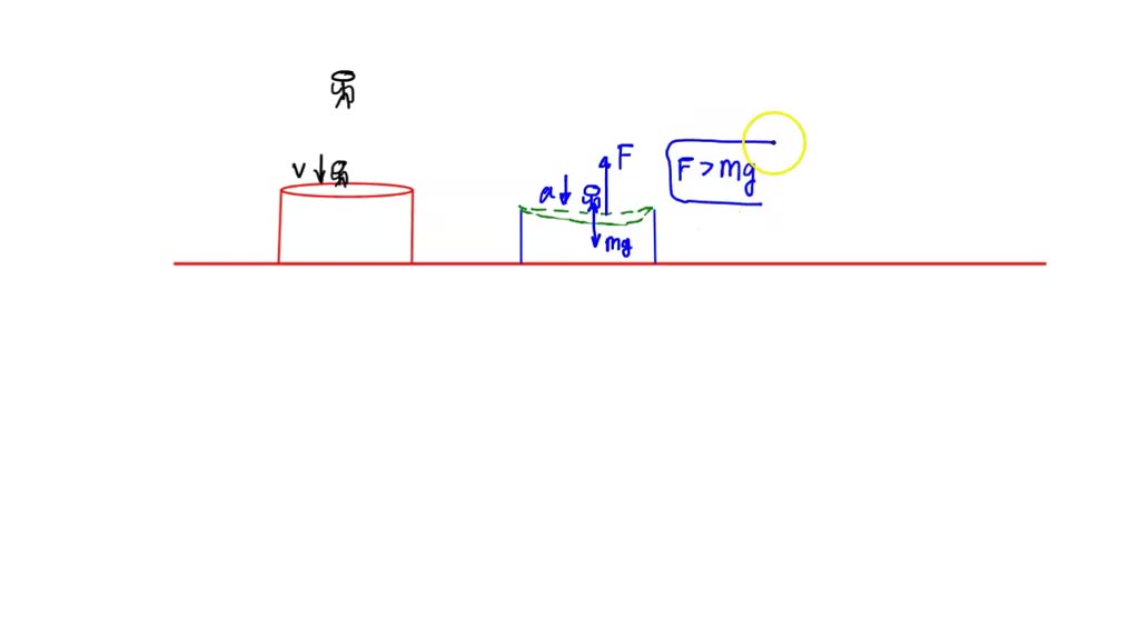 SOLVED: A gymnast is jumping on trampoline When she lands on the ...