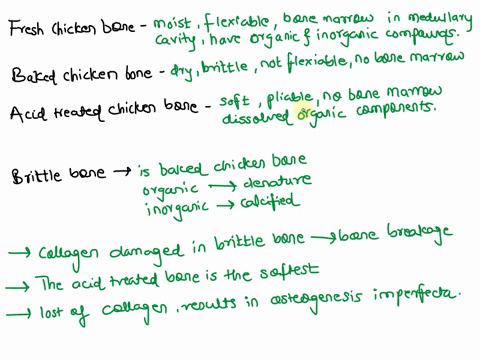 SOLVED: 1) Are the bones more or less flexible than they were before ...