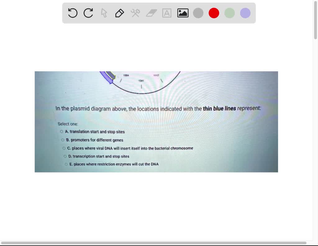 SOLVED: In the plasmid diagram above, the locations indicated with the ...