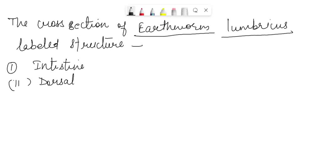 SOLVED: ACTIVITY: Slide Images help you label the following structures ...