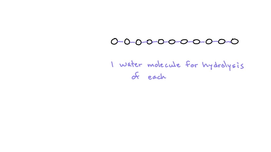 How many molecules of water are needed to completely hydrolyze a ...