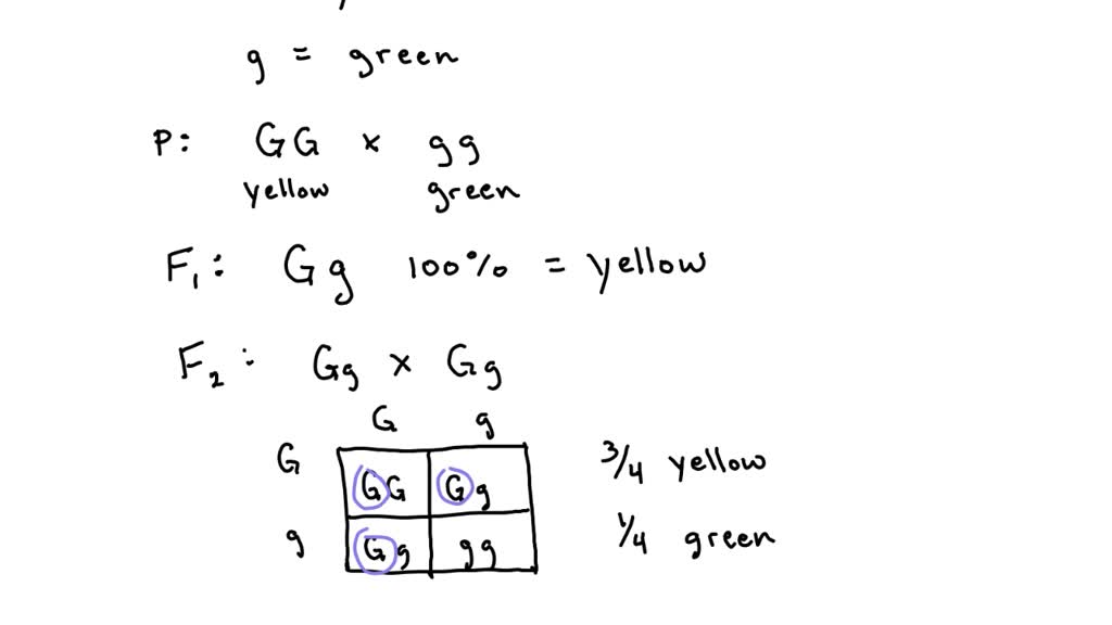SOLVED: In Mendel's breeding experiment on garden peas, the F2 ...