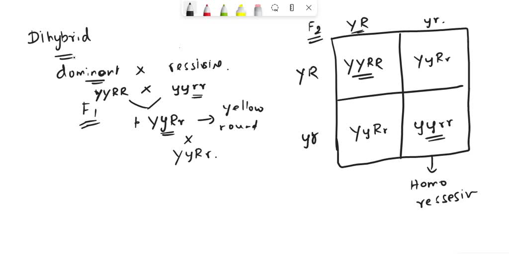 SOLVED: Question 48 Which of the following statements correctly ... SOLVED: Question 48 Which of the following statements correctly ...