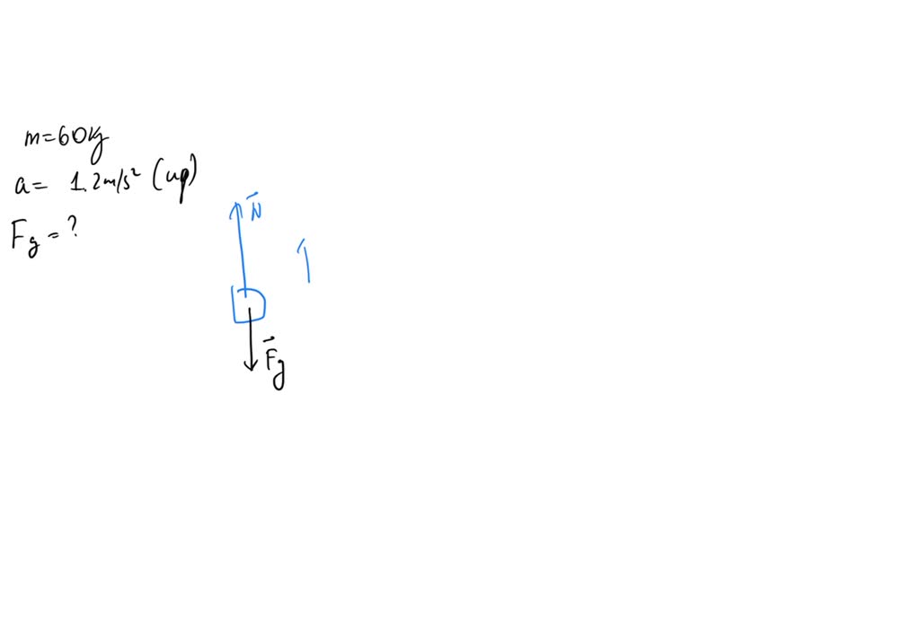 Solved A 60 Kg Woman In A Elevator Is Accelerating Upward At A Rate Of