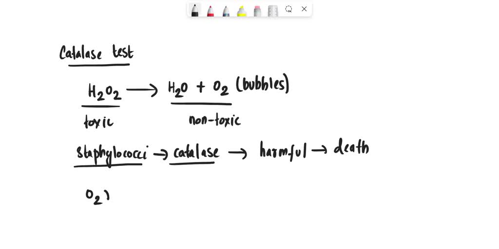 SOLVED: Oxygen Requirements: Catalase Test How are toxic molecules such ...