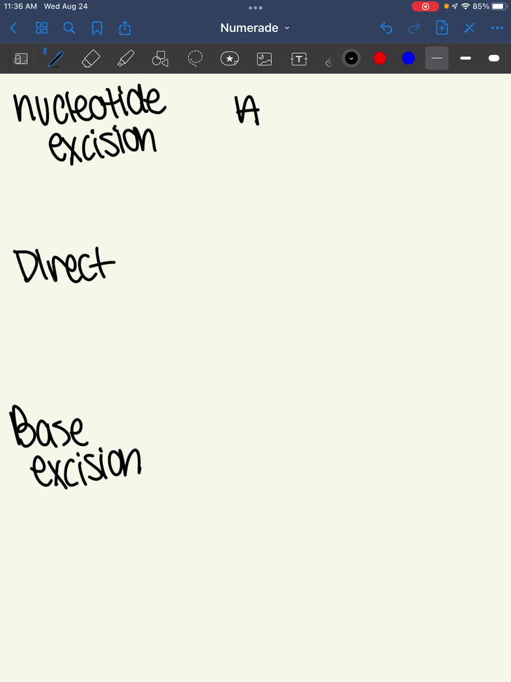 SOLVED: Question 31 (3 points) Please match the DNA damage and repair ... SOLVED: Question 31 (3 points) Please match the DNA damage and repair ...