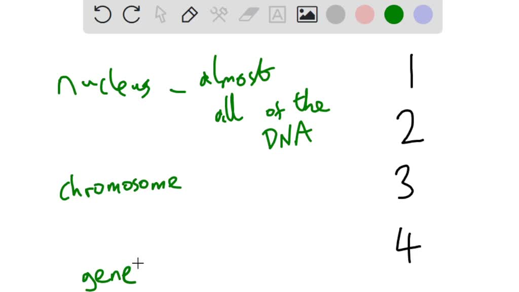 SOLVED: 'Which of the following arrangements lists the structures from largest to smallest ...