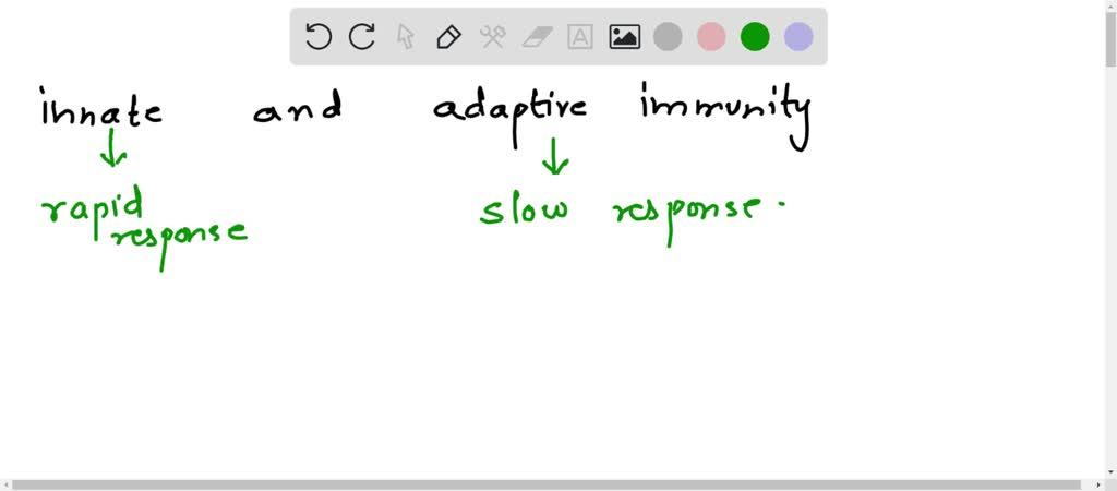 SOLVED: 5. A) What are the main differences between innate and adaptive ... SOLVED: 5. A) What are the main differences between innate and adaptive ...