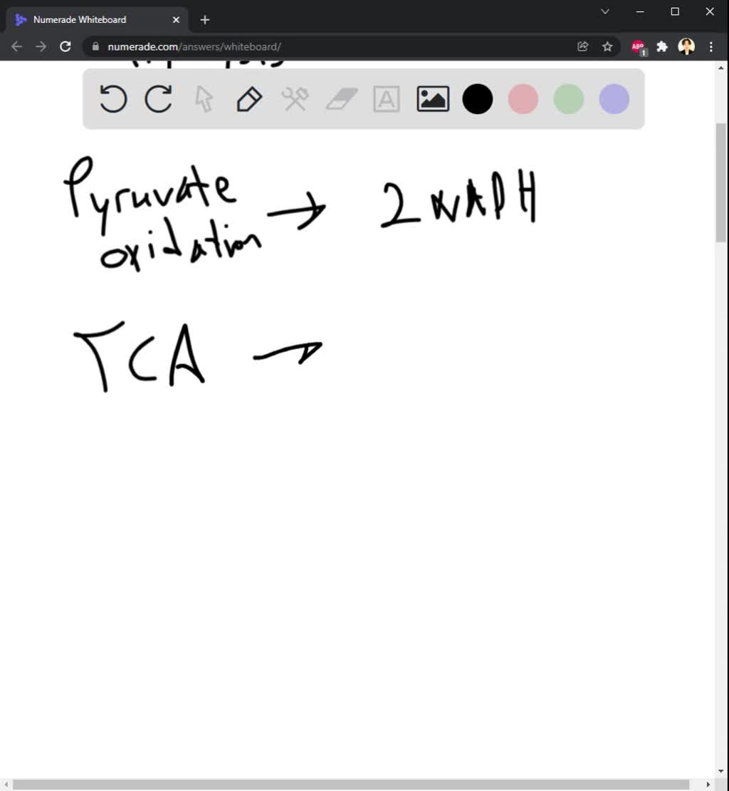 SOLVED: Calculate the number of reduced NAD and reduced FAD molecules ...