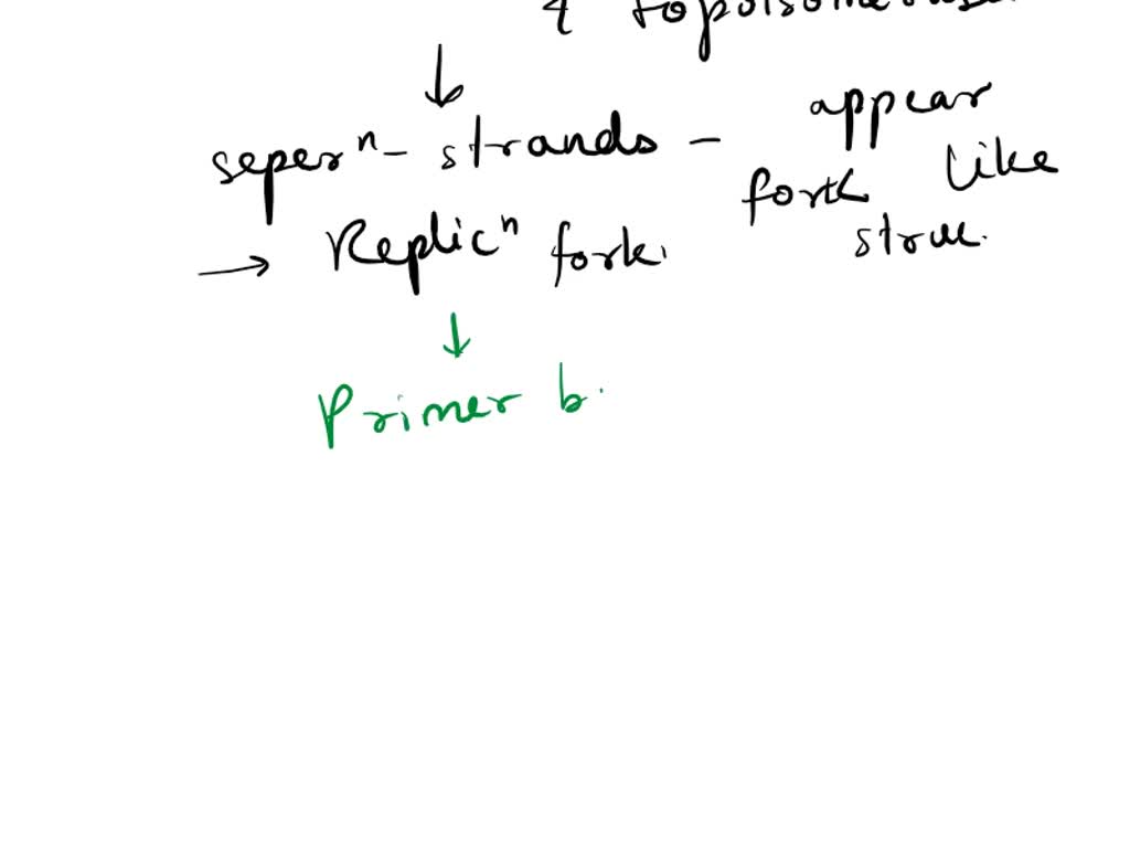 SOLVED: 1. An RNA primer is necessary for DNA replication to provide a ...
