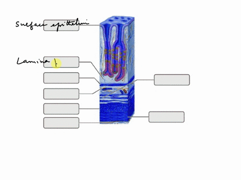 Ch 02 HW -t-labeling Activity: Figure 2.27 Part A Drag the appropriate labels to their ...