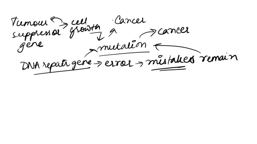 Solved Why Do Mutations Associated With Cancer Almost Always Occur Sequentially Instead Of