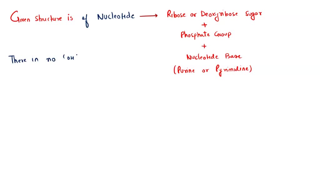 SOLVED: This figure shows: - Phosphate - Nitrogenous Base - OH - 5 ... SOLVED: This figure shows: - Phosphate - Nitrogenous Base - OH - 5 ...
