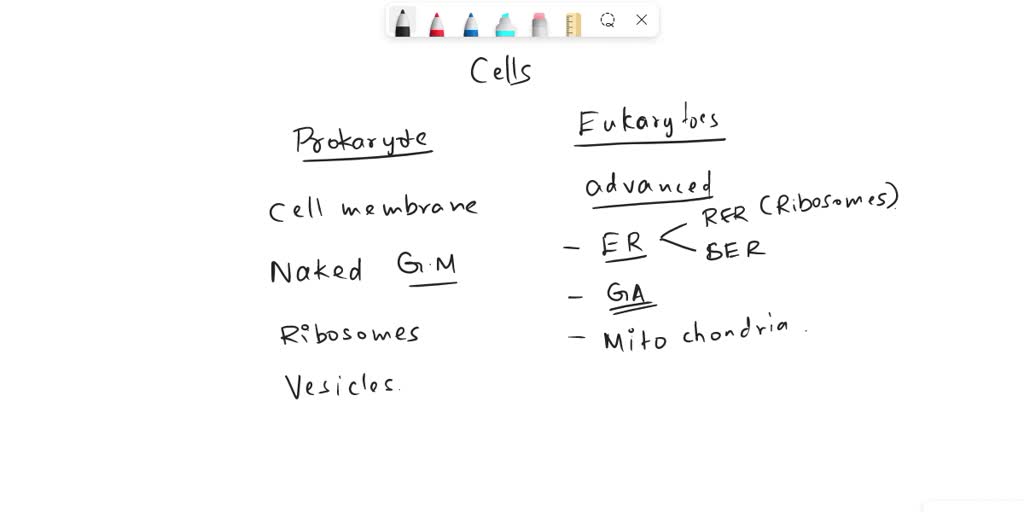 SOLVED: Which structures occur only in eukaryotic cells? Select all that apply. A. Endoplasmic ...
