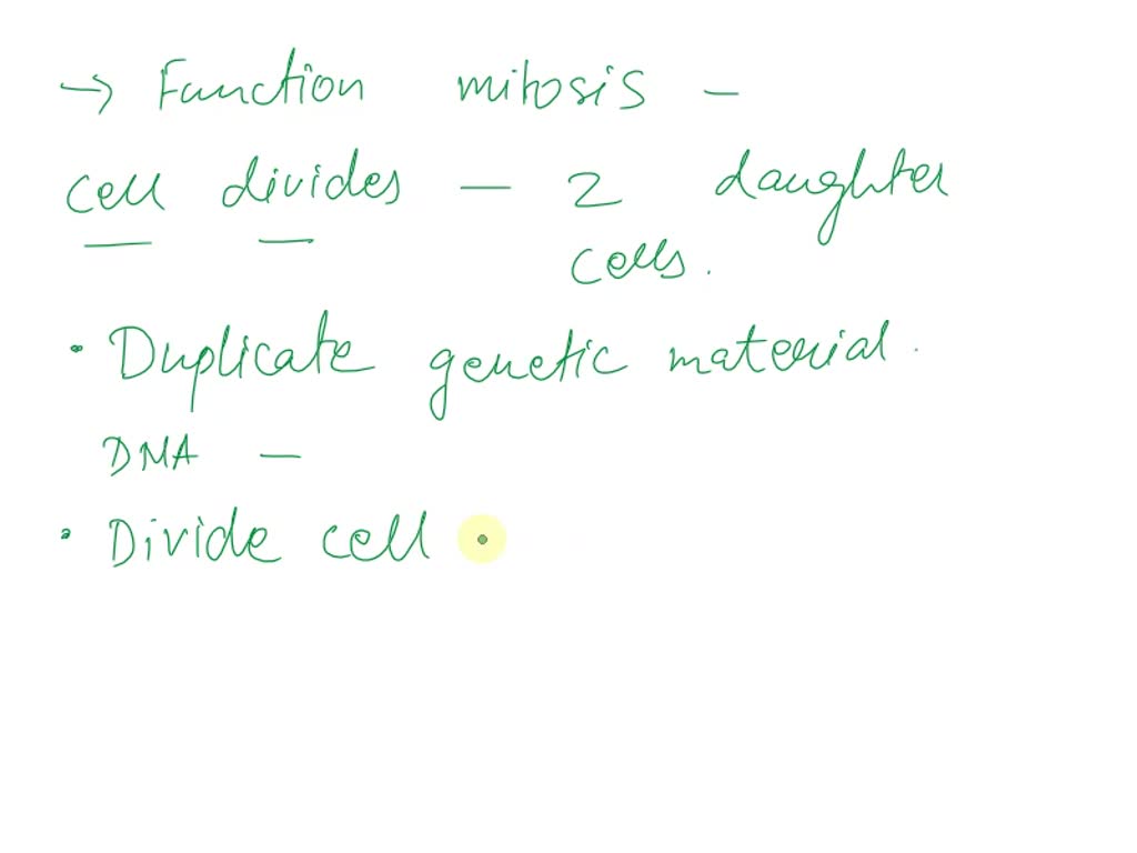 SOLVED: Why do our cells undergo mitosis? What function or role does ...