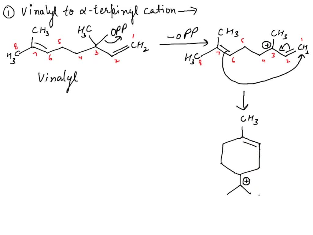 SOLVED: Farnesyl pyrophosphate is an important precursor in the ...