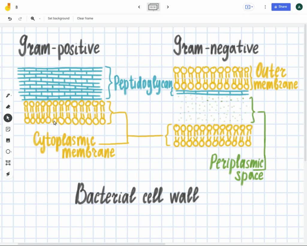 SOLVED: Make a pair of detailed drawing showing the differences and ...