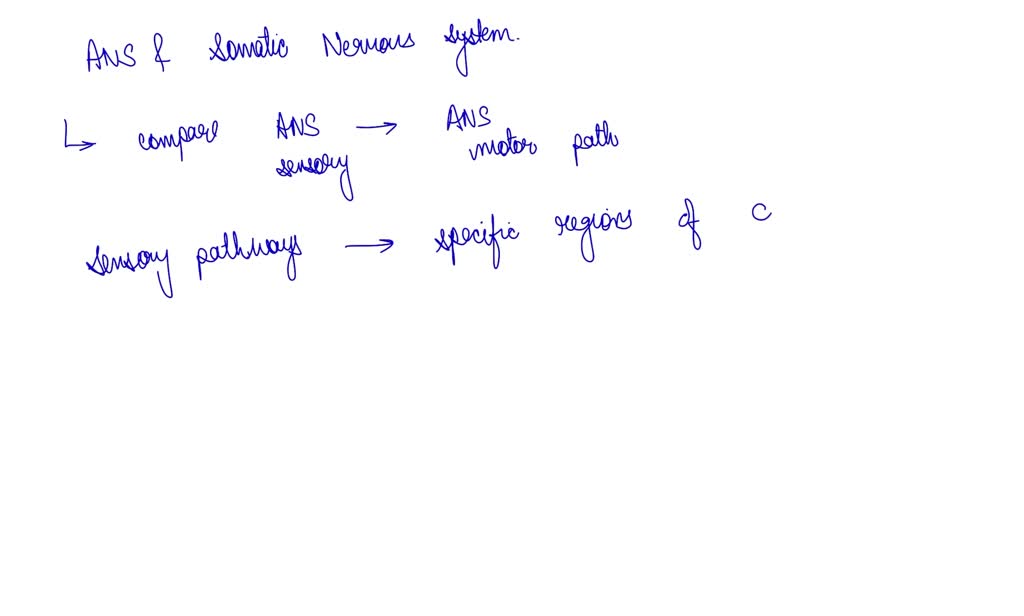 ANS and somatic NS Compare: 1) ANS sensory path with ANS motor path ...