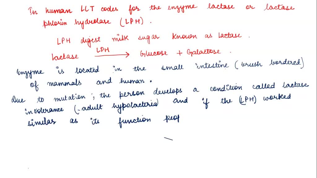 SOLVED: Explain the effect of the mutation that occurs among northern ...