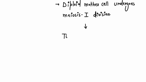 Meiosis I vs Meiosis II Complete the chart comparing Meiosis I and ...