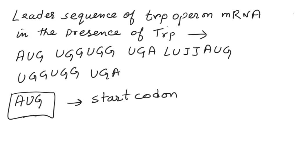 SOLVED: 22. In E. coli, the genes that encode enzymes for synthesizing ...
