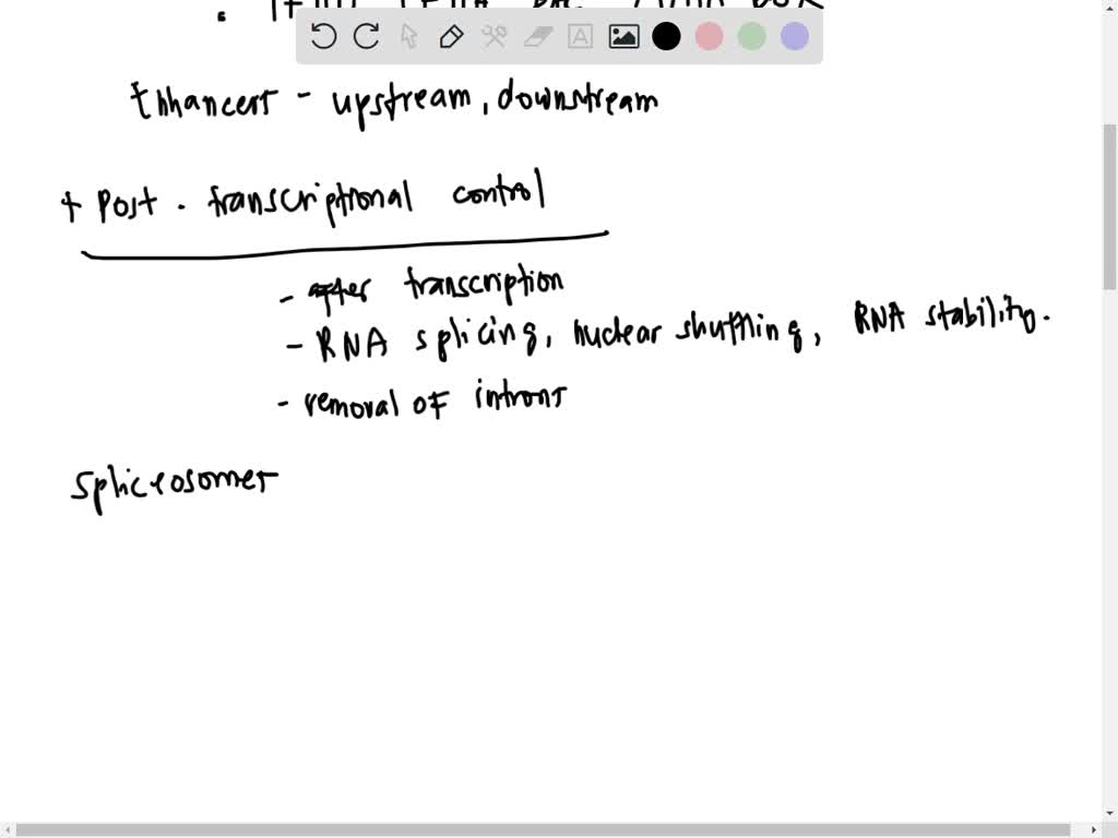 SOLVED In Eukaryotic Organisms We Have Many Cell Types That 