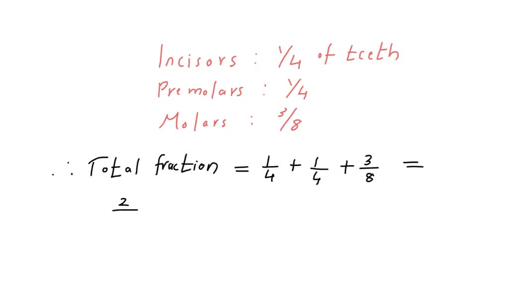 SOLVED: The permanent teeth are in the Universal Numbering system ...
