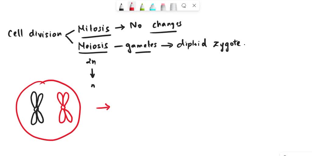 SOLVED: During meiosis, the process of crossing over results in new ...