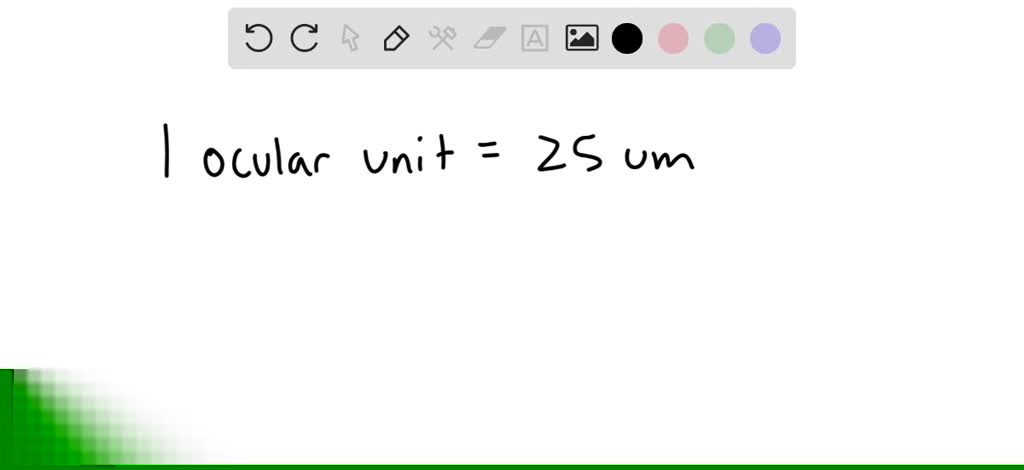 SOLVED: Using the ocular micrometer and 40x objective lens of your ...