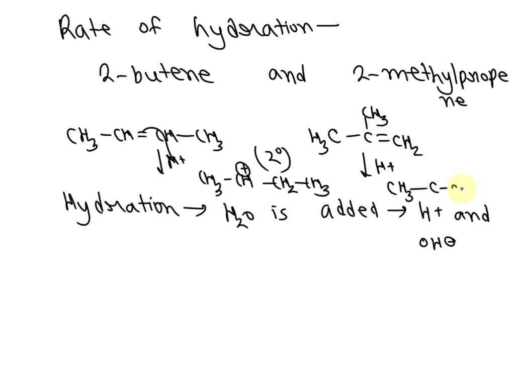 SOLVED: The rate of hydration of 2-butene and 2- methylpropene differ ...