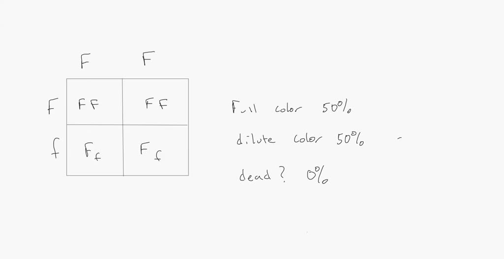 SOLVED: The P1 cross is between a full colour male (D1 D3 ) and dilute ...