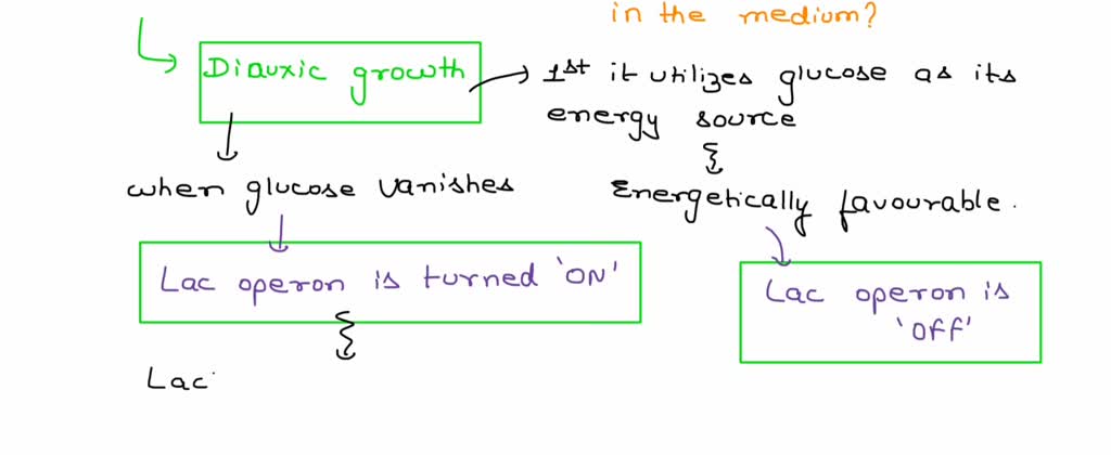 SOLVED: E. coli is growing in a Glucose Salts broth (GSB) solution with ...