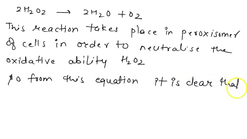 SOLVED: What do you think would hapen if you increased the substrate ...