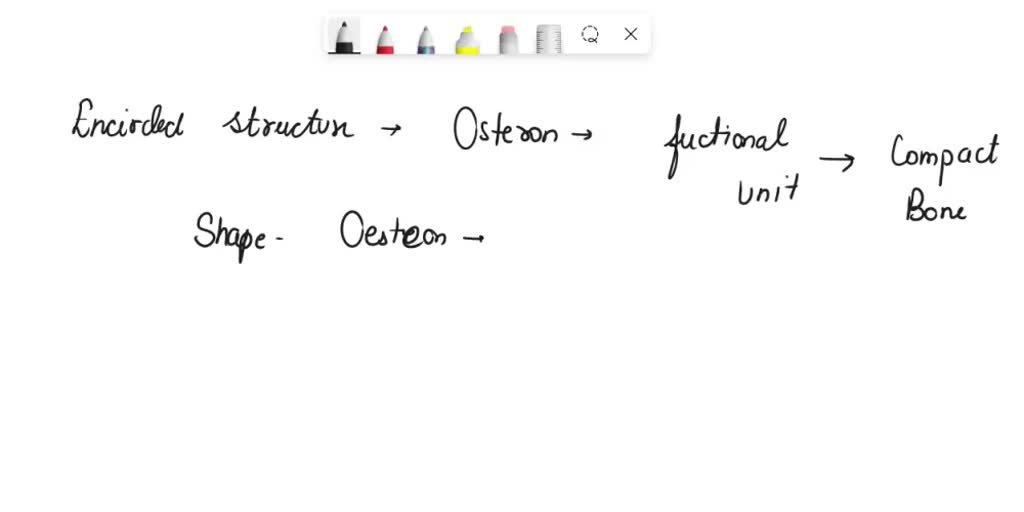 What is the name and function of the complete encircled structure? The ...