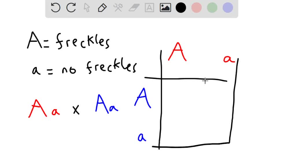 SOLVED: 'Freckles show dominant inheritance pattern: In a genetic cross ...