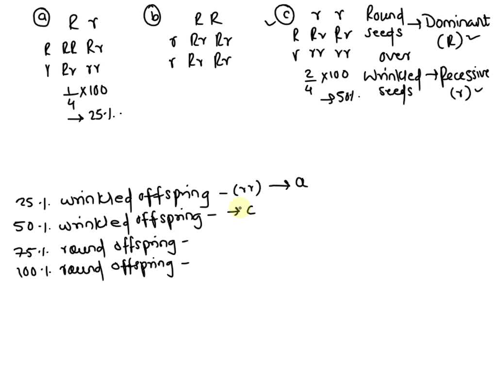 SOLVED: 'Look carefully at the completed Punnett Squares A, B, and C ...