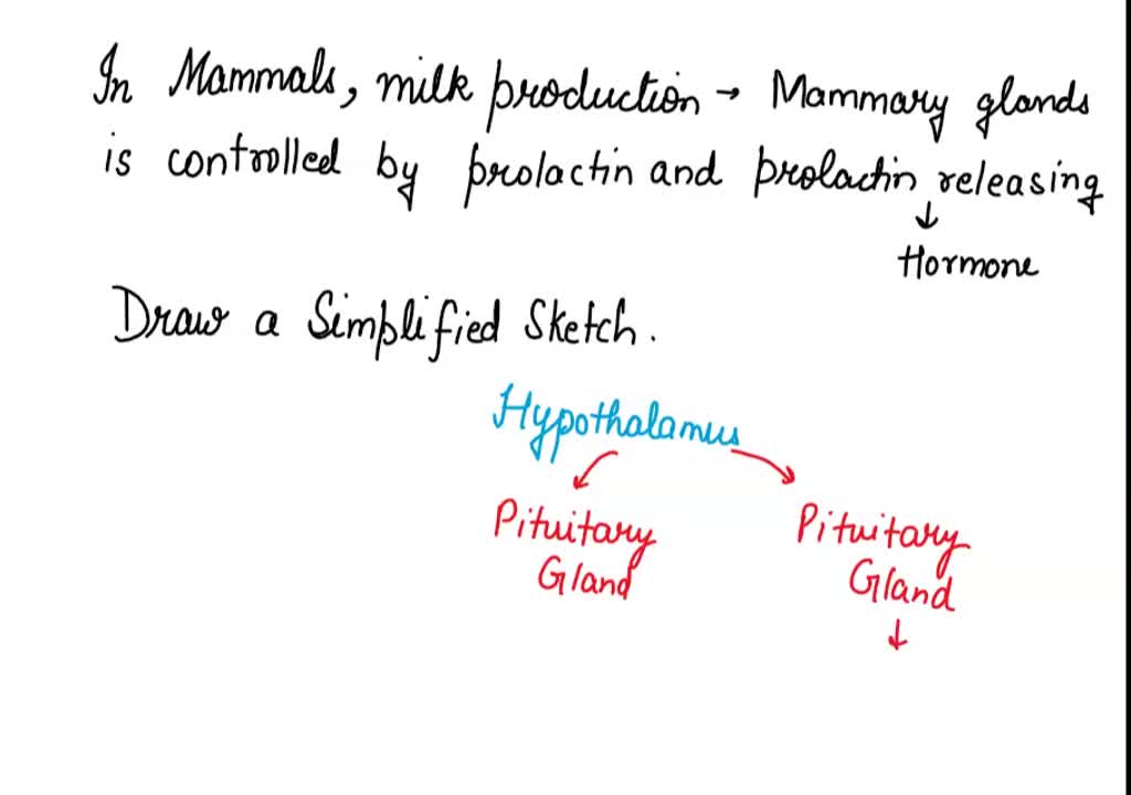 SOLVED: In mammals, milk production by mammary glands is controlled by ...