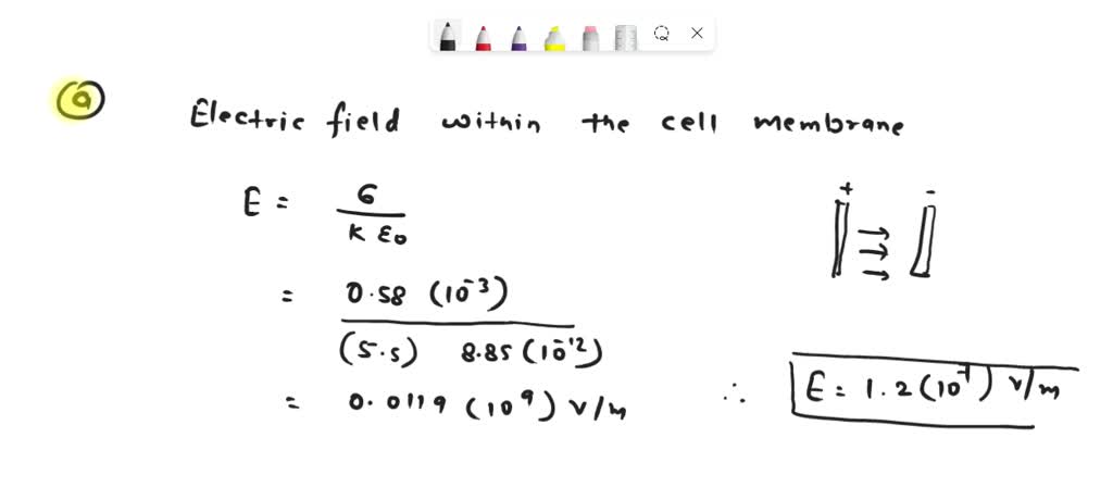 SOLVED: Cell Membranes and Dielectrics Many cells in the body have a ...