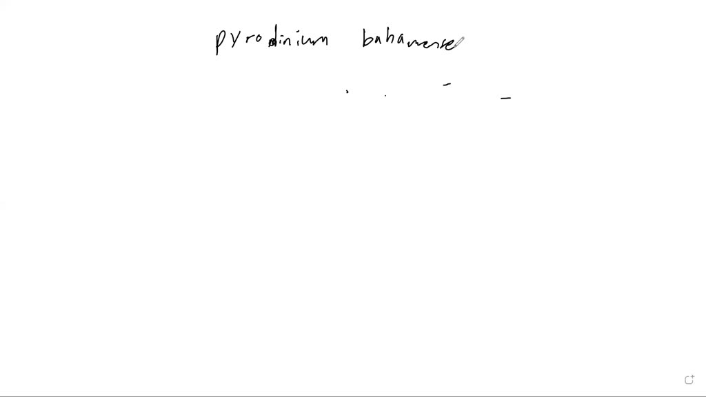 SOLVED: Activity 3: Wet Mount of Cultured Organisms Where the Protist ...