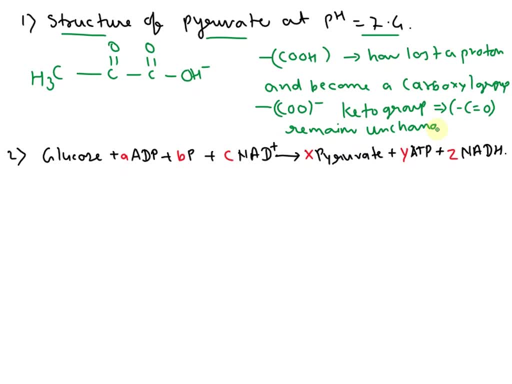 SOLVED: I need help drawing the structure of pyruvate at 7.4 Add ...