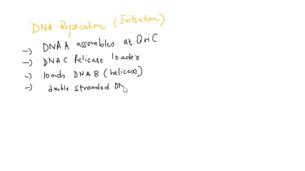 SOLVED: Determine the order of proteins binding and functions occurring for bacterial DNA ...
