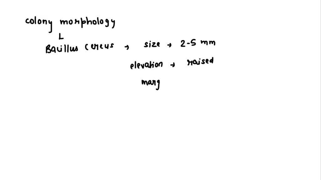 a. Staphylococcus epidermidis Shape: Color: Margin: Texture: Elevation
