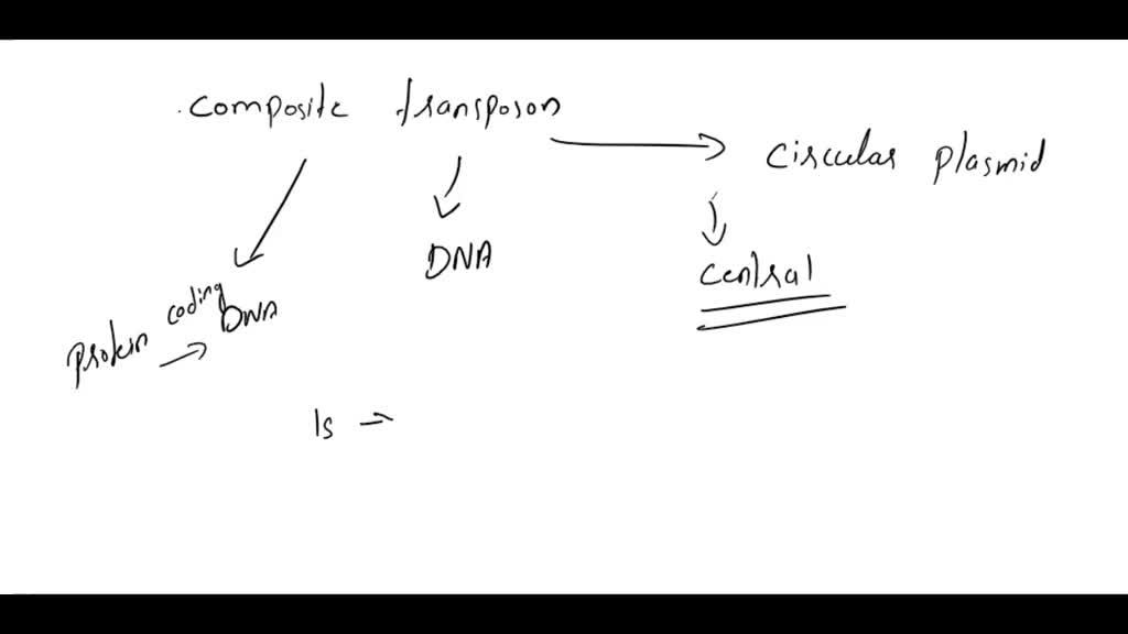 SOLVED: A composite transposon integrated in a circular plasmid occasionally transposes the DNA ...